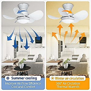 Regair Ceiling Fans with Lights, DC Motor 22 inch Flush Mount Ceiling Fans with Lights and Remote Control, Reversible Blades Small White Quiet low profile Ceiling Fan