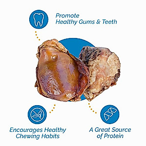 123 Treats Meaty Dog Bones, 100% Natural Knee Cap Beef Bone Dog Treats, No Additives, Made from Premium USA Grass Fed Beef, Tasty Long Lasting Chews for Dogs, Improve Oral Health, Pack of 10