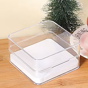 POPETPOP Display Case- Transparent Display Box with EVA Foam Board, Storage Box for Specimen Display & Collectibles