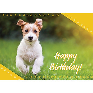 HTL Card-Boxed-Childrens Birthday-Fuzzy Friends (Box of 12)