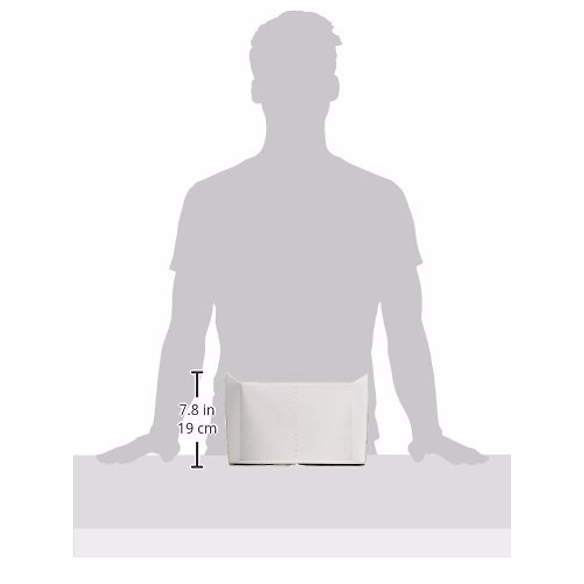 Woodland Scenics SP4168 Pop Up Display 10-3/4"X7-3/8 X7-1/2- (Limited Edition)