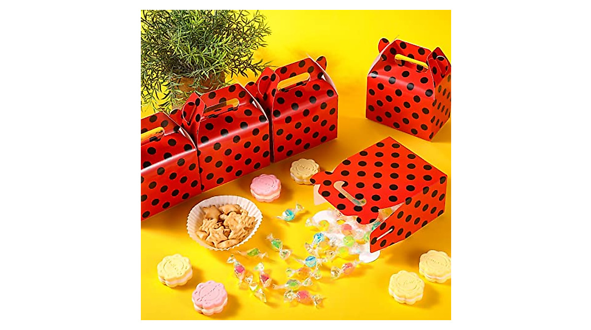 Outus Ladybug Party Favor Boxes - 30 Pack