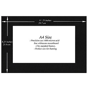 Set Of 4 Tottenham Signed A4 Mounted Photo Prints - Pre Printed Autograph - Ready To Be Framed - Harry Kane, Son Heung Min, Dejan Kulusevski & Richarlison