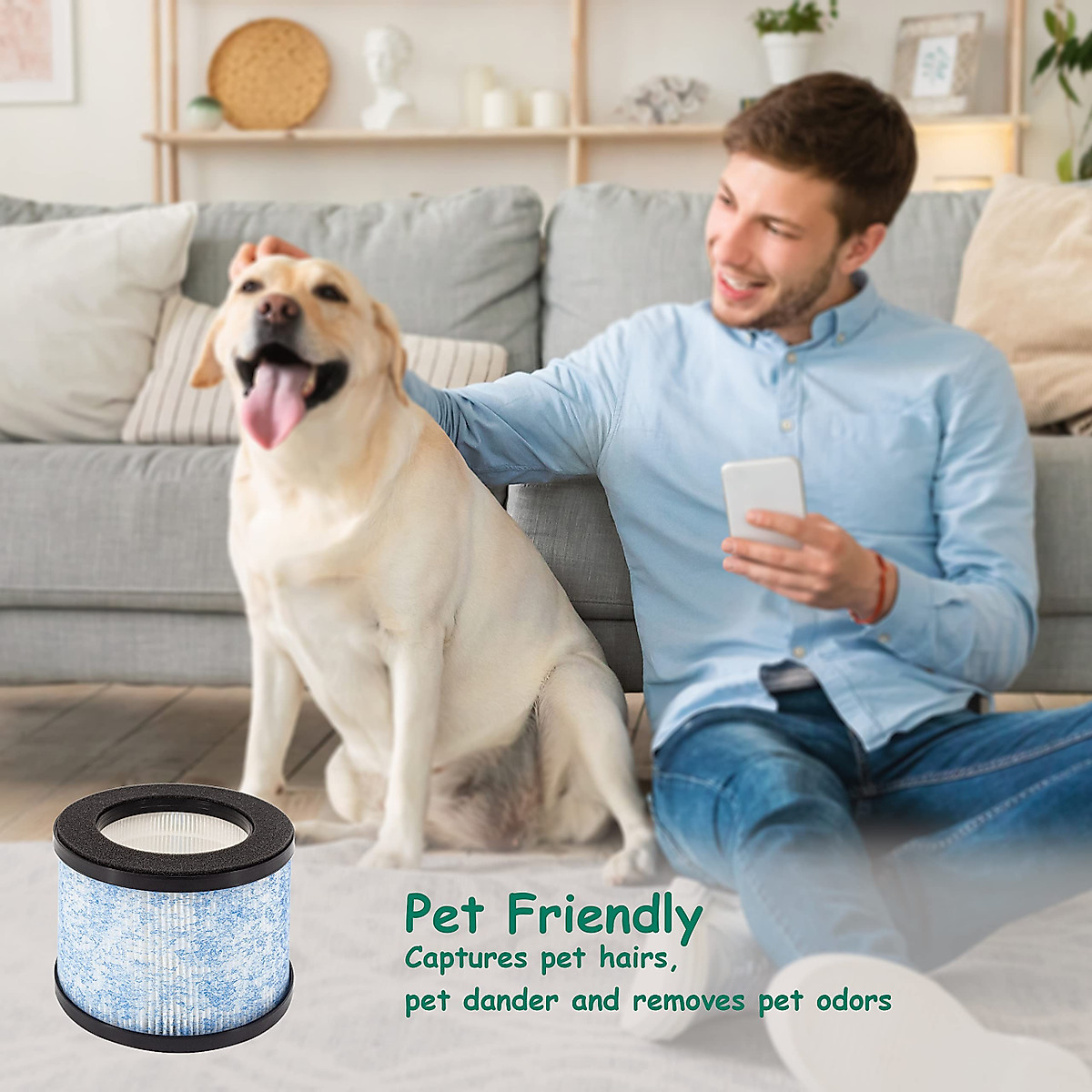 Asheviller C102 Filter Replacement, Compatible with Okaysou AirMic4S and Miko C102 IBuki Air Purifier, 2 Pack