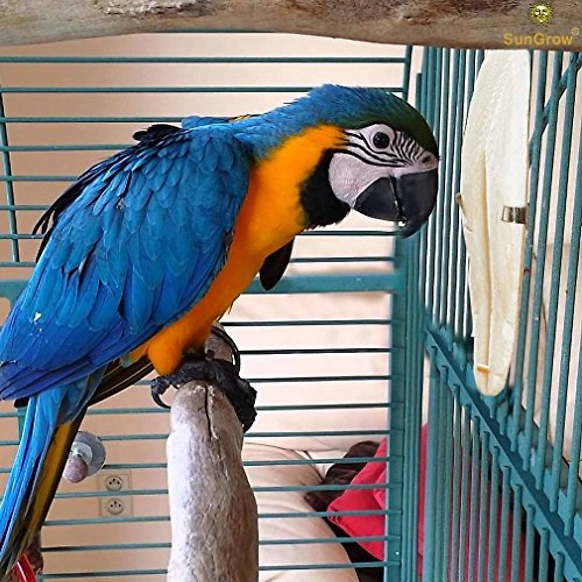 SunGrow 4 Pack Cuttlefish Bones for Cockatiels, Turtles, Shrimp, Dog Calcium Supplement, Cuttlebone Cage Holder Included