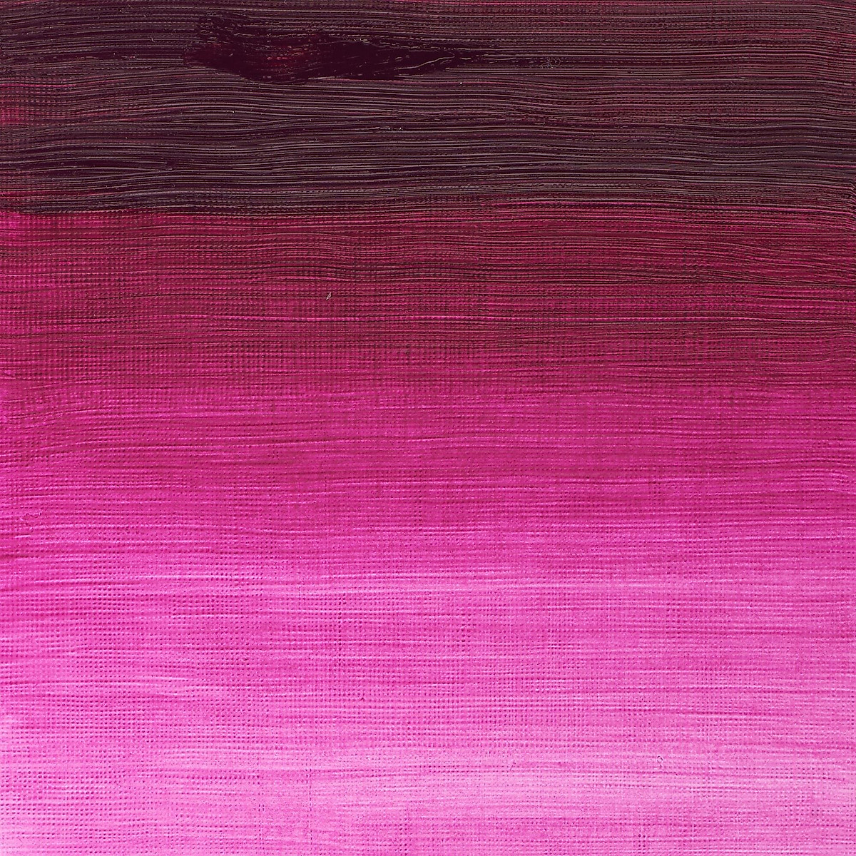 Winsor & Newton Winton Oil Color, 37ml (1.25-oz) Tube, Magenta