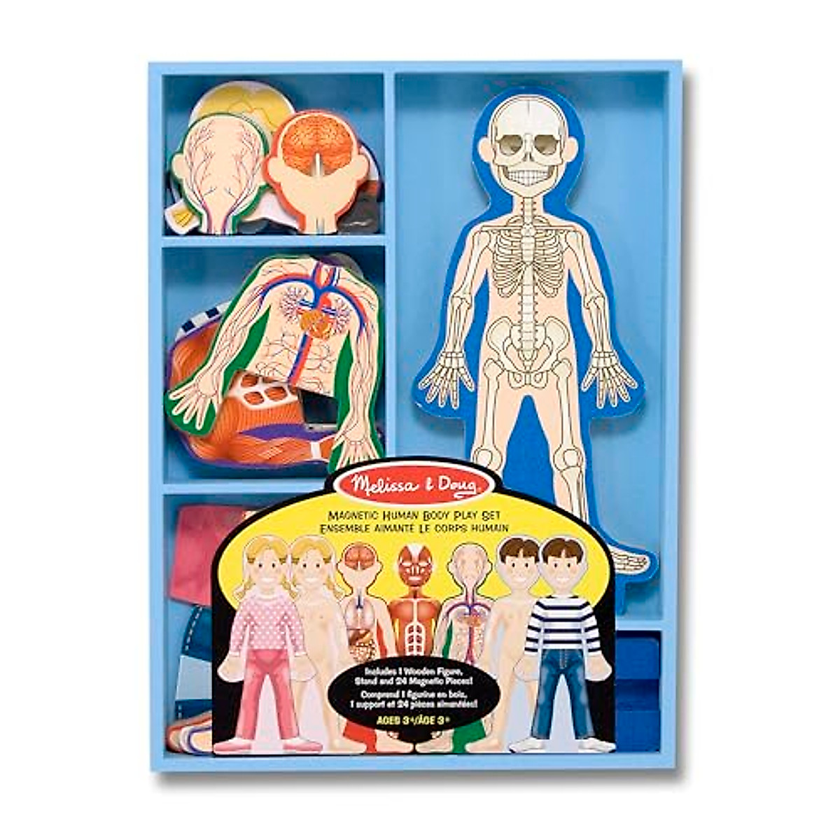 Melissa &amp; Doug Magnetic Human Body Anatomy Play Set With 24 Magnetic Pieces and Storage Tray