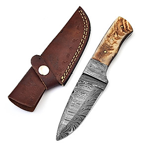 SharpWorld 8 Inches Beautiful Damascus Knife Made Of Remarkable Damascus Steel Ram Handle -Ideal Hunting Knife With Sheath TJ108