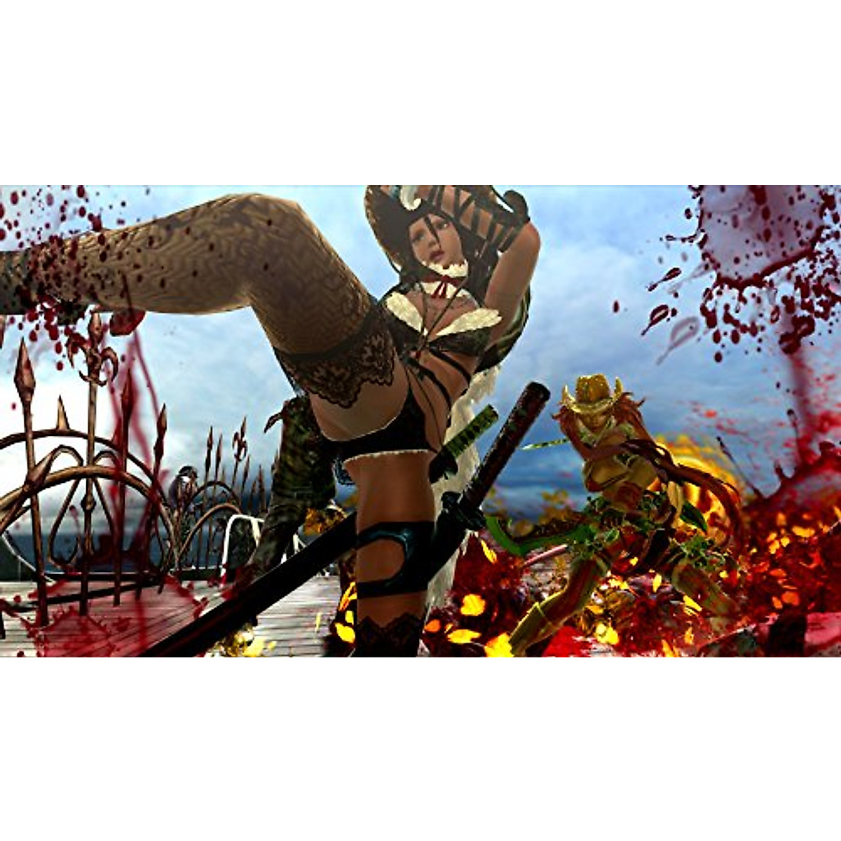 Onechanbara Z2 Chaos