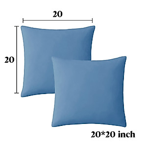 puredown® Outdoor Waterproof Throw Pillows, 20 x 20 Inch Feathers and Down Filled Decorative Square Pillows for Garden Patio Bench, Pack of 2, Blue