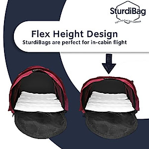 Sturdibag Extra Large Pet Carrier Flexible Height Pet Tote, Black,Size XL { 20"L x 16"H x 12"W}