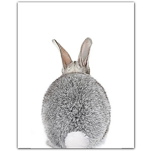 Designs by Maria Inc. Baby Nursery Wall Decor Art - Set of 2 (UNFRAMED) Wall Artwork 8x10 Baby Bunny Front and Back Photographic Print