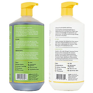 Alaffia EveryDay Coconut Shampoo and Conditioner - Normal to Dry Hair Cleansing with Ginger and Coconut Oil, Fair Trade, 32 Fl Oz