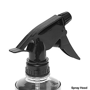 Steven Raichlen Best of Barbecue Marinade Spray Bottle - SR8819