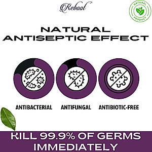 Reboot Colloidal Silver Skin Care Spray, Natural Relief for Dogs, Cats & Horses - Soothes Pet Wounds, Itches, Allergies, Non-Sting, Deodorizes, Safe for All Ages (33.8oz)