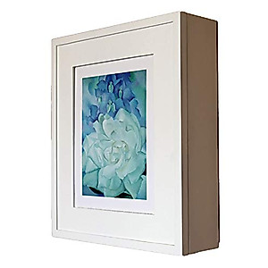 Fox Hollow Furnishings Picture Perfect Medicine Cabinet - a Wall-Mount Picture Frame Medicine Cabinet (White)