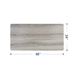 FLEXISPOT EC1 Essential Adjustable Desk Electric Standing Desk (48x24 Inch, Gray Frame+White Wood Grain)