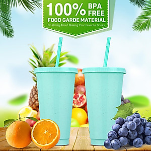 Roshtia 24 Pack Plastic Tumblers with Lid and Straw Reusable Cups Bulk Water Bottles Iced Coffee Travel Mug Cup for Birthdays Party Juices Adults Kids (24 OZ, Clear)