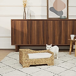 Teamson Pets Cat or Small Dog Raised Daybed Lounger Wicker Seagrass with Removable and Washable Cushion, 21" Long, Tan/Cream, ST-N10002, Beige, One Size