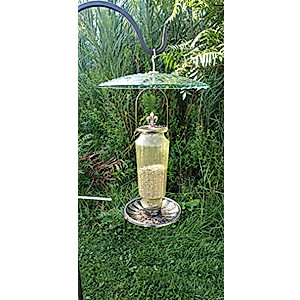 13 Inches Clear Glass Weather Guard and Squirrel Baffler for Wild Bird Feeders (Clear 1Pack)