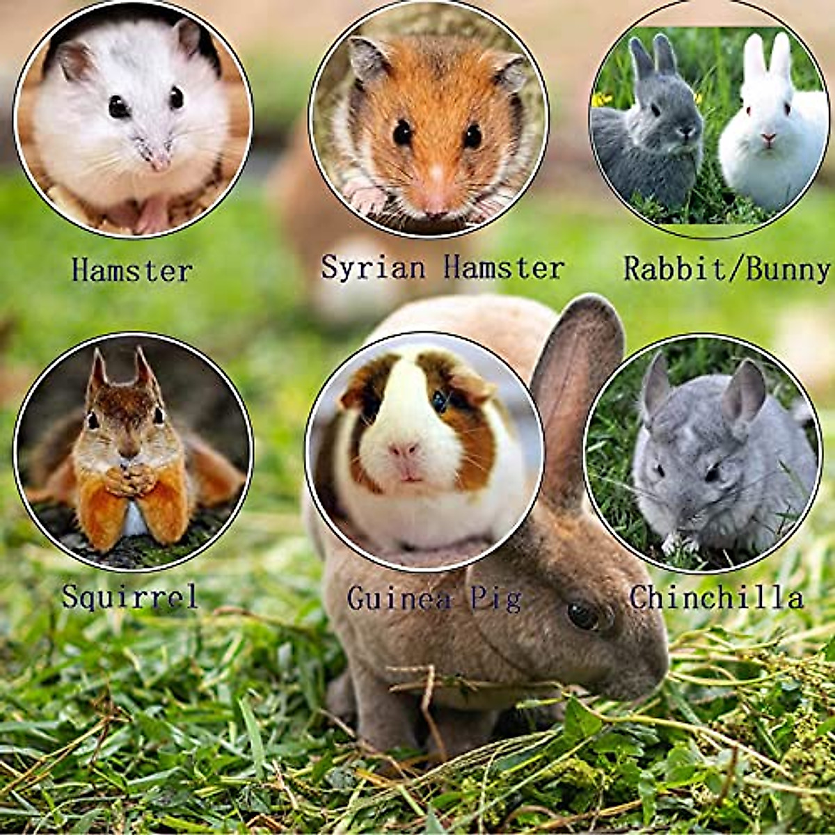 kathson 15 PCS Hamster Chew Toys Teeth Grinding Lava Block Mineral Stone Calcium Chewing Toy for Chinchillas Rabbit Bunny Guinea Pig Gerbil