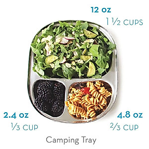 Ecolunchbox Stainless Steel Divided Dinner Tray Large (6-Pack)