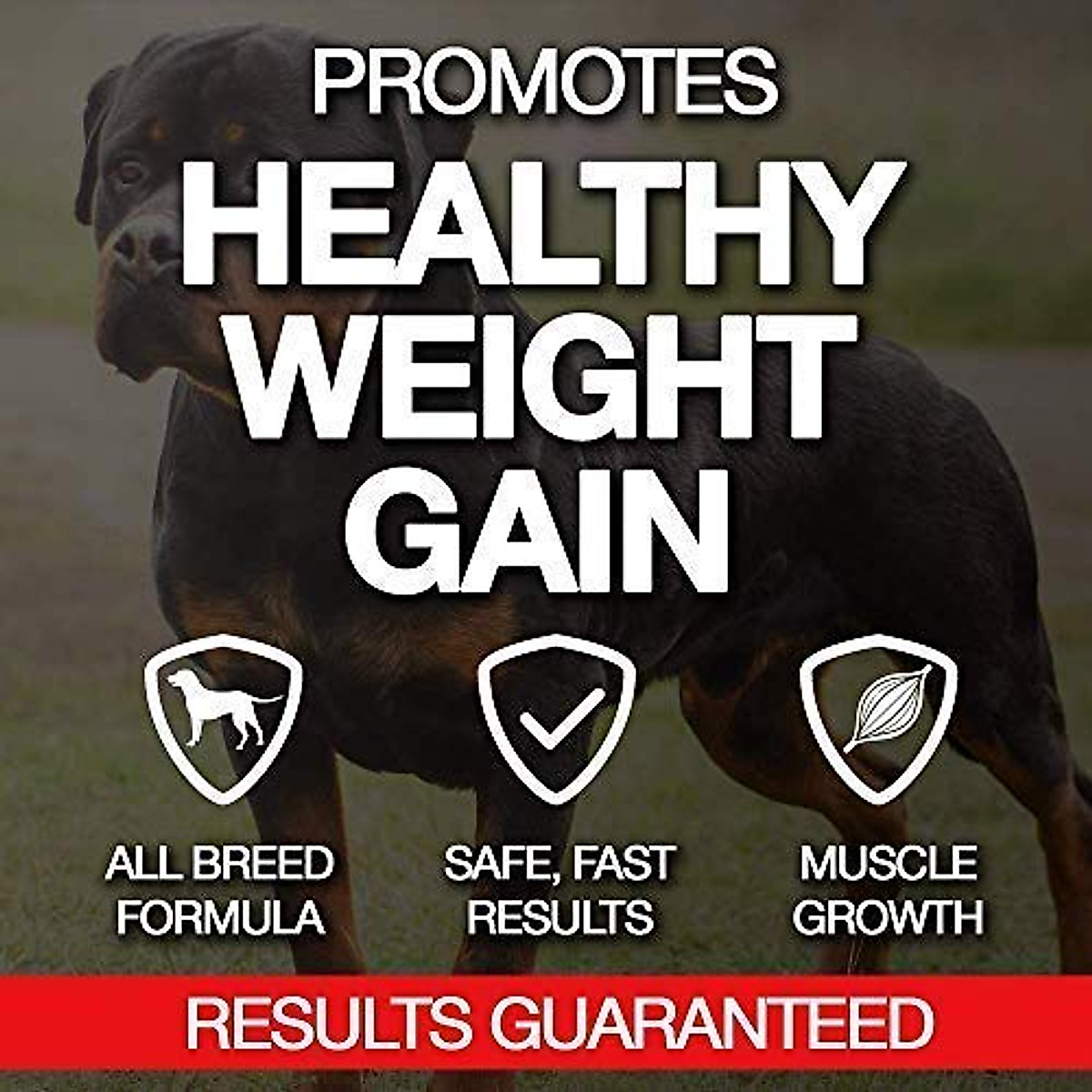 MVP K9 Formula Mass Weight Gainer for Dogs - Helps Promote Healthy Weight Gain, Size and Muscle in Dogs - Great for Skinny, Underweight, Picky Eaters. All Breed Formula, Made in USA (45 Servings)