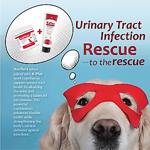 Azoflora Supplement for Healthy Kidneys for Dogs - Enhances Renal Function - Support Healthy Urinary Tract, Easy to Administer, No Refrigeration Required, Chicken Flavor - 90 Soft Chews