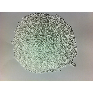 Sodium Benzoate 454 Grams