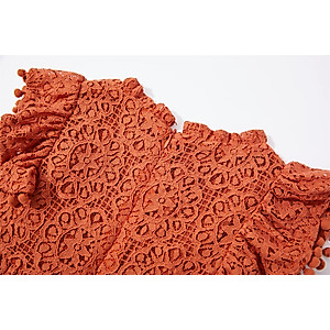 Niyage Toddler Girls Elegant Lace Pom Pom Flutter Sleeve Party Princess Dress Brick Red 100