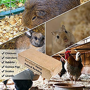 Rural365 Chicken Hemp Bedding - 33lb Industrial Hemp Bale for Small Animal Bedding and Backyard Chicken Coop Supplies