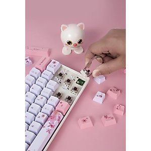 ZMX Cherry Blossom 61 Mechanical Keyboard,Hot Swappable 60％Compact Mechanical 5.0Bluetooth/Type-C Wired Dual-Mode RGB Backlit Dye-Sublimation PBT Keycap Gaming Keyboard(Black Switch, Pink)