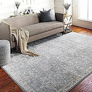 Artistic Weavers Gautier Traditional Oriental Area Rug, 2'7" x 10', Medium Gray