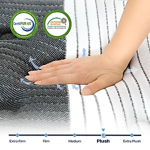 Lechepus 14Inch Queen Mattress in Box, Plush Memory Foam Queen Size Hybrid Mattress Sleep Presssure Relief, 5-Zone Individual Pocket Spring Mattresses, CertiPUR-US Certified None of Fiberglass