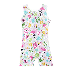HOZIY Flamingo Leotards For Girls Gymnastics Size 5-6 5t Dance Clothes Floral Watermelon Orange Fruits Shorts Outfits Tumble Uniforme Para Gimnasia Ninas Kids Bodysuits Sparkle