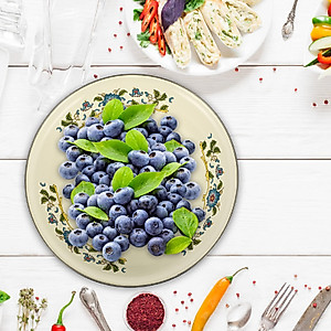 DOITOOL Vintage Mixing Bowl Enamel Bowl Vintage Enamelware Salad Mixing Bowl Enamel Washing Basin Vintage Soup Basin Soup Bowl Round Serving Tray for Home