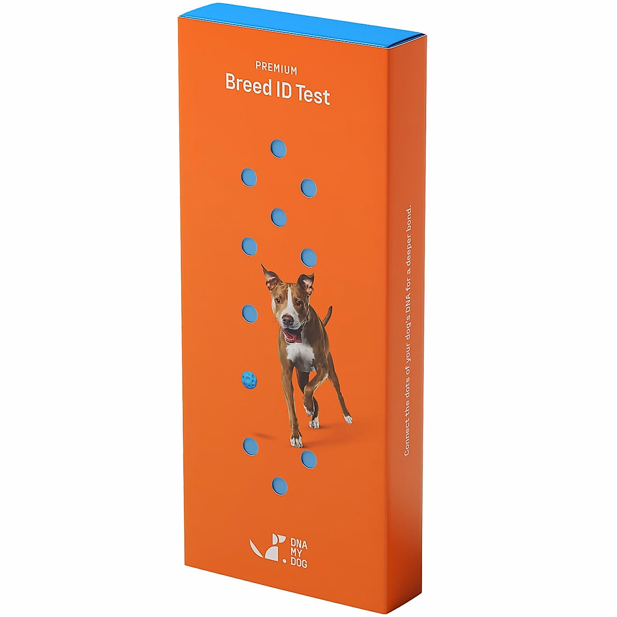 Dna My Dog Premium Test – Premium Breed ID Over 300 Breeds Plus Genetic Age Test, Wolf/Coyote DNA and Mixed Breed Identification, Non-Invasive Cheek Swab for Puppies to Adult Dogs