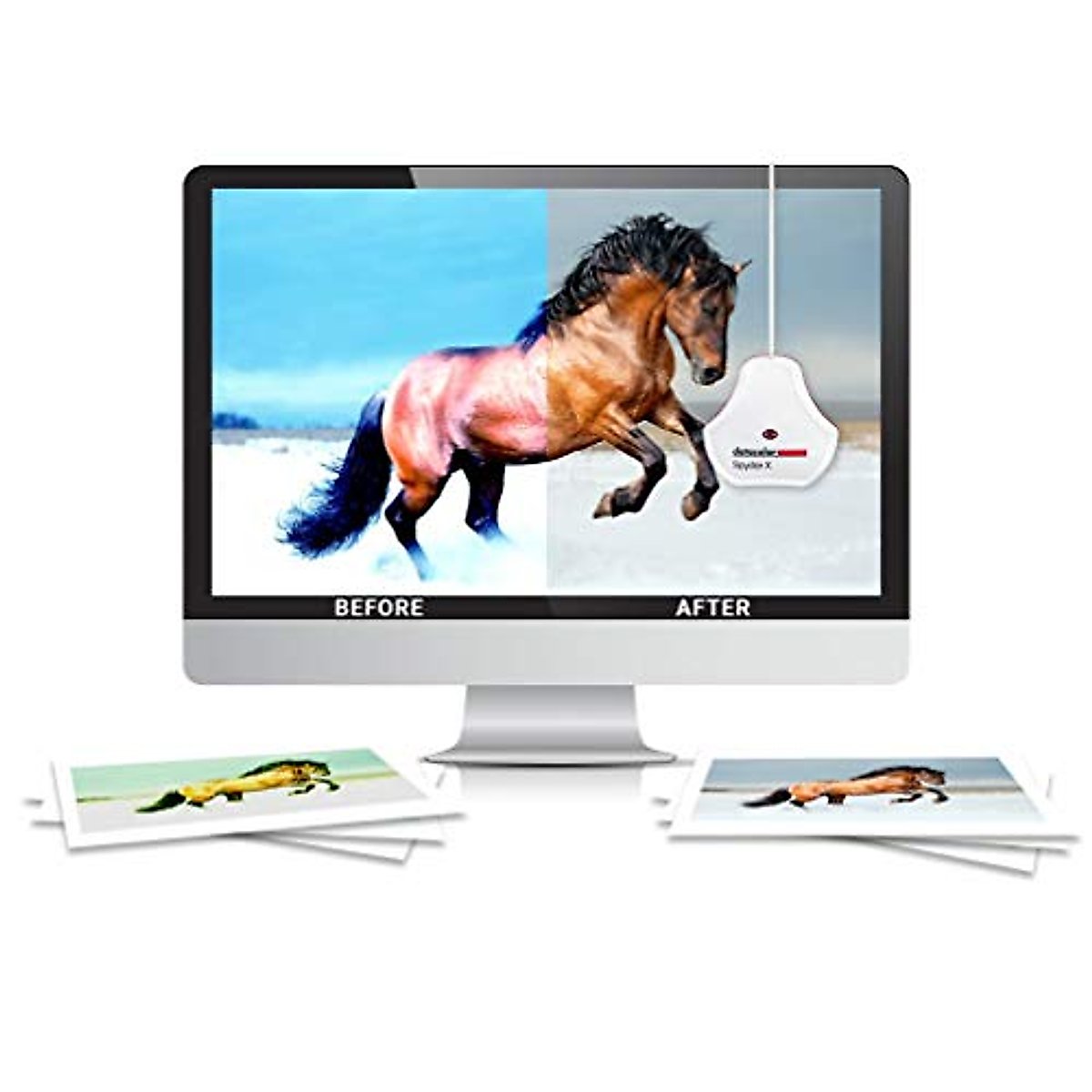 Datacolor SXSSR100 Spyder X Studio: Suite of Photo Tools for Precision Control from Capture to Editing and Print