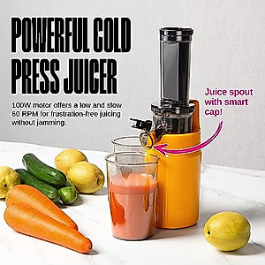 Ventray Essential Ginnie Juicer Compact Small Cold Press Juicer Masticating Slow Juicer with 60RPM Low Speed, Easy to Clean & Nutrient Dense, Eco-Friendly Packaging, Sunny Yellow