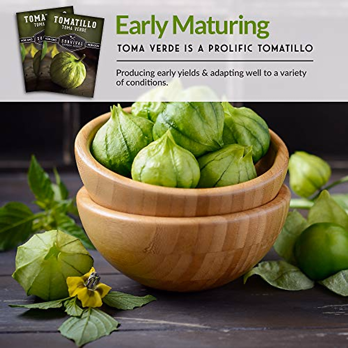 Survival Garden Seeds - Toma Verde Tomatillo Seed for Planting - Packet with Instructions to Plant and Grow Green Salsa Vegetables in Your Home Vegetable Garden - Non-GMO Heirloom Variety