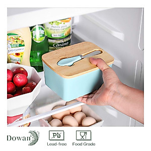 DOWAN Large Butter Dish with Knife - Butter Keeper Container with Lid, High- quality Silicone Sealing Butter Dishes Perfect for 2 Sticks of Butter West or East Coast Butter, Blue