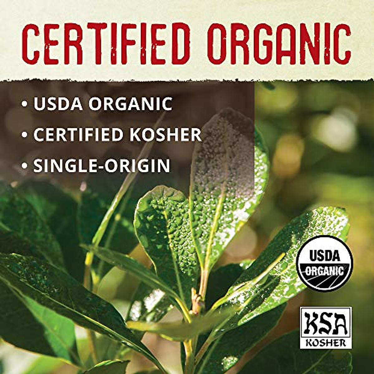 ECOTEAS Organic Unsmoked Yerba Mate Tea Bags - 24 Count, 1.7 Oz - Organic Detox Tea - Hi Caf Tea - Clean Yerba Mate Energy Burst - Ecoteas Yerba Mate