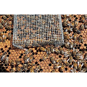 PS Direct Hardware Cloth - 36 inch x 10 Foot with 1/8 Inch Galvanized mesh 27 Gauge. Great for Chicken Wire, Fence or Animal Control. Craft Projects Fine Soil Sifting or Gardening Enclosures