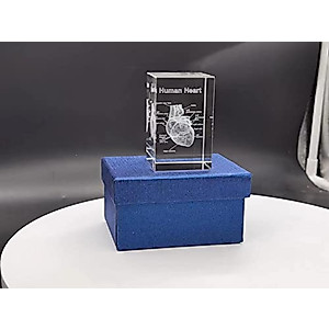 3D Human Heart Anatomical Model Paperweight with Laser Engraved High Definition Structure Made of Optical Crystal Glass Cube as Teaching Tool or Science Gift (No Included LED Base)(5x5x7.5 cm)