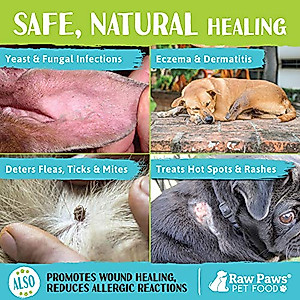 Raw Paws Organic Coconut Oil for Dogs & Cats, 16-oz - Treatment for Itchy Skin, Dry Nose, Paws, Elbows, Hot Spot Lotion for Dogs, Natural Hairball Remedy for Dogs & Cats