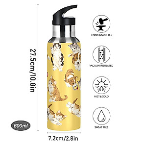 FUGIDOG Cute Cat Stainless Steel Sports Water Bottle with Straw Lid, BPA-Free, 32 oz Vacuum Insulation Flask Reusable Leak Proof Thermos for Fitness Travel Gym Cycling