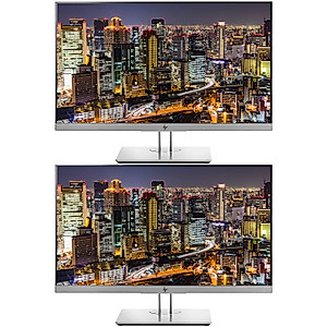 HP EliteDisplay E243 24 Inch IPS LED Backlit Monitor 2-Pack Bundle with FHD 1920 x 1080, HDMI, VGA, DisplayPort