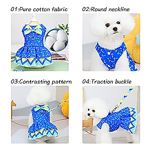 Louseshuer Dog Harness Dress with Leash for Cat Puppy Summer Kitten Clothes Chihuahua Teacup Yorkshire Dress (Large, Blue)