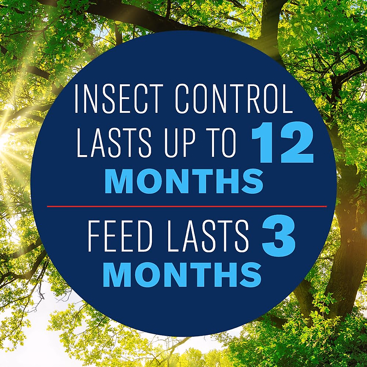 BioAdvanced 12 Month Tree Protect & Feed Concentrate II, 1 GAL