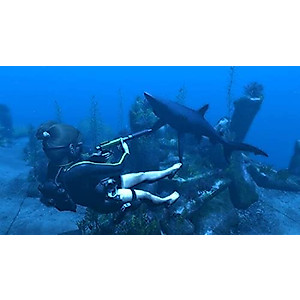 Tomb Raider: Trilogy for Playstation 3 Brand New! Factory Sealed!